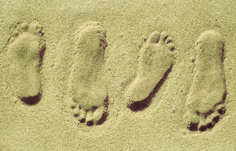 Model de viata in 4 pasi – Tony Robbins | Calatorii prin sunet